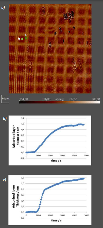 details | Park Systems