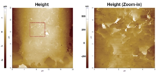 details | Park Systems