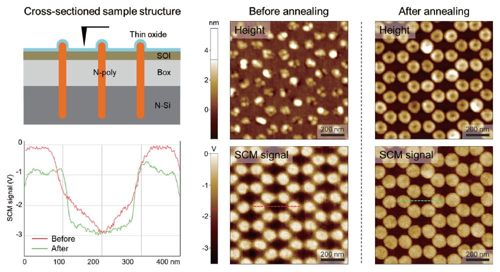 details | Park Systems